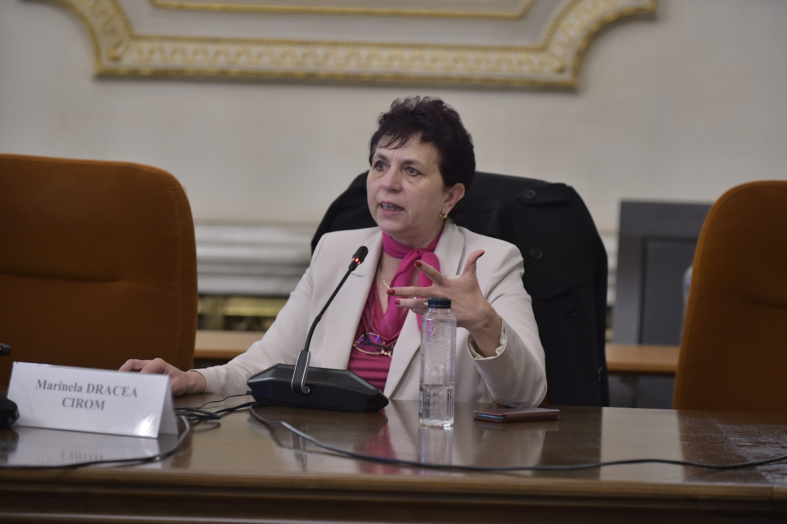 Marinela Dracea, la conferința Focus Energetic: Captarea și stocarea ...
